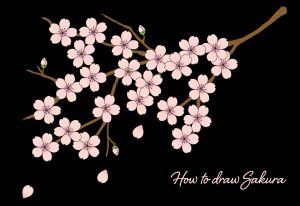 桜のイラストの簡単な描き方【初心者】 - kisa illustration & design